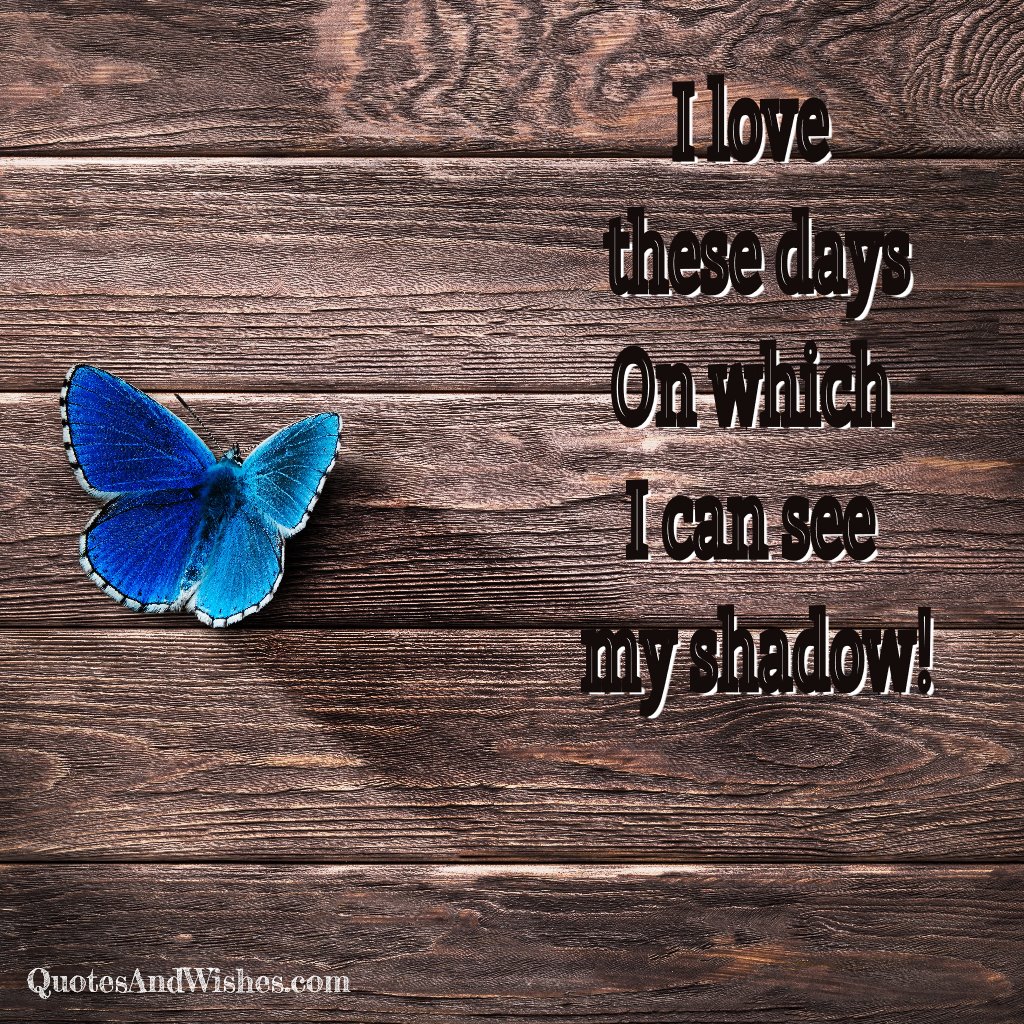 QuotesAndWisdom.com - Quote: I love these days on which I can see my shadow