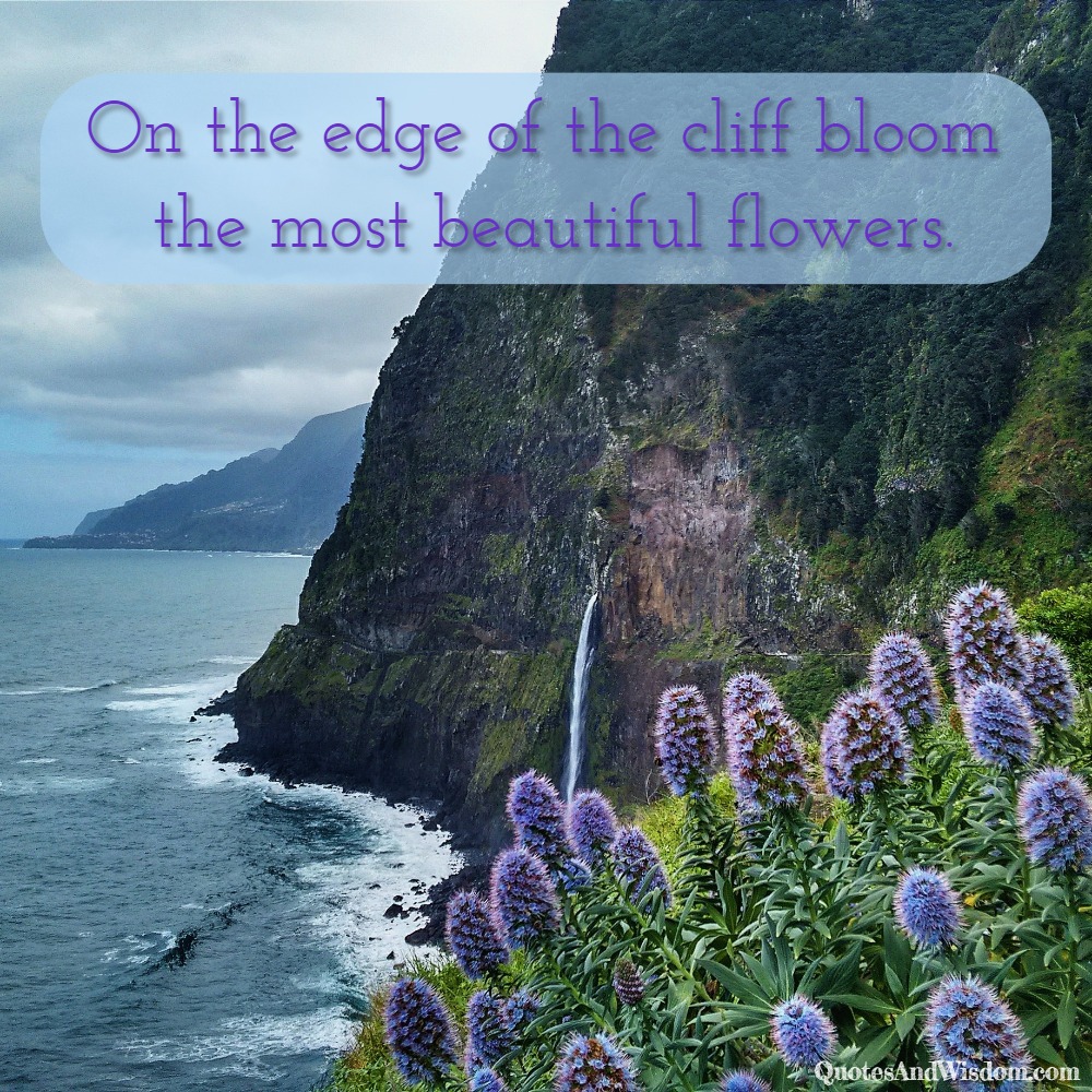 QuotesAndWisdom.com - Quote: On the edge of the cliff bloom the most ...