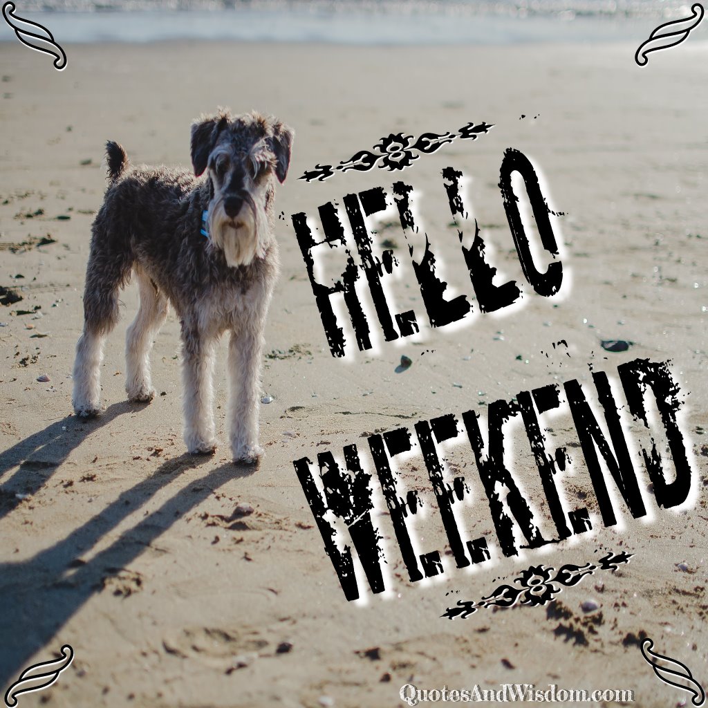 QuotesAndWisdom.com - Free Quotes, Sayings and Wisdom online