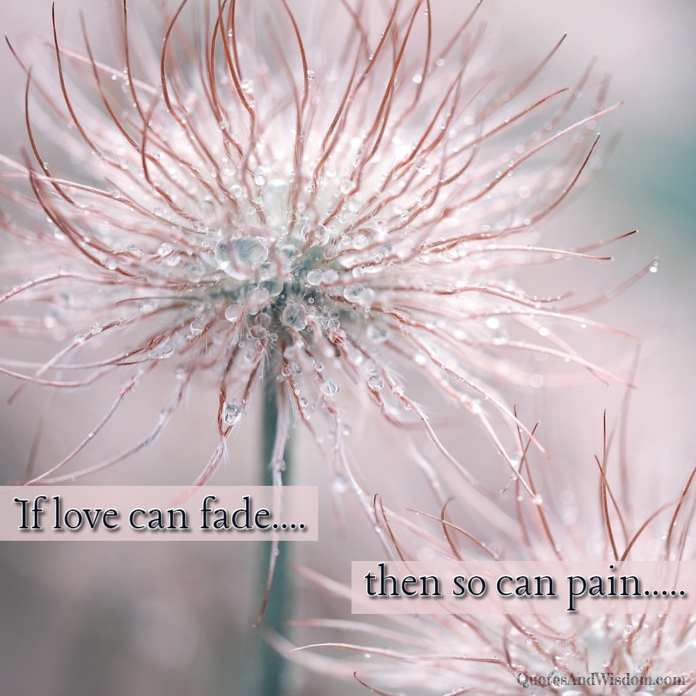 QuotesAndWisdom.com - Quote: If love can fade, then so can pain.